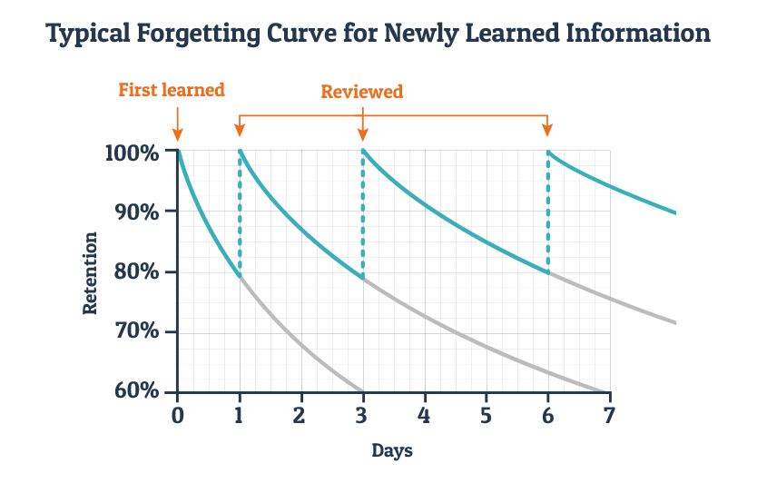 The Forgetting Curve: The Reason to Review Your Notes The Forgetting Curve: The Reason to Review Your Notes