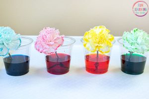 37 Fun Flower-Inspired Activities for Preschoolers - Education Corner