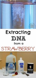 30 Best Science Experiments & Projects for High School