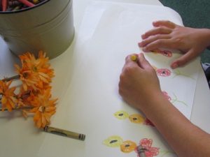37 Fun Flower-Inspired Activities for Preschoolers - Education Corner