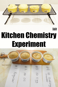 Top 50 Fun Food Science Experiments - Education Corner