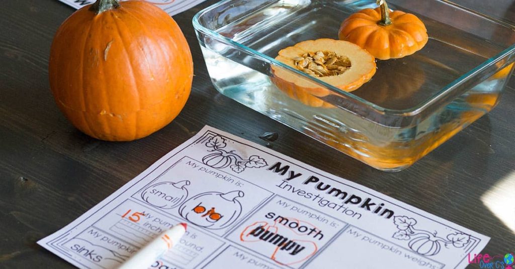 Top 13 Pumpkin-Themed Science Experiments for Kids - Education Corner