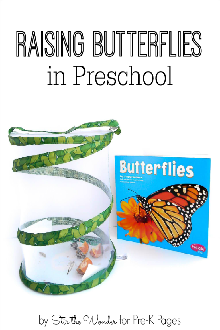 40 Hands-On Butterfly Activities for Preschoolers - Education Corner