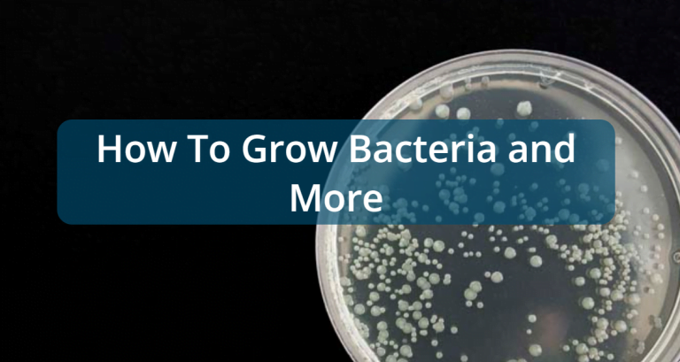 Top 30 Biology Experiments for High-School - Education Corner