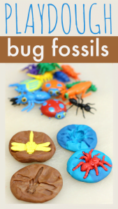 35 Exciting Bug Activities for Kids to Inspire Curiosity About Insects ...