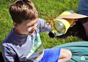 35 Exciting Bug Activities for Kids to Inspire Curiosity About Insects ...