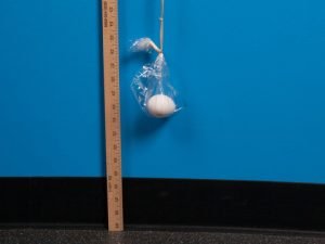 27 Fun & Creative Egg Drop Challenge Ideas - Education Corner