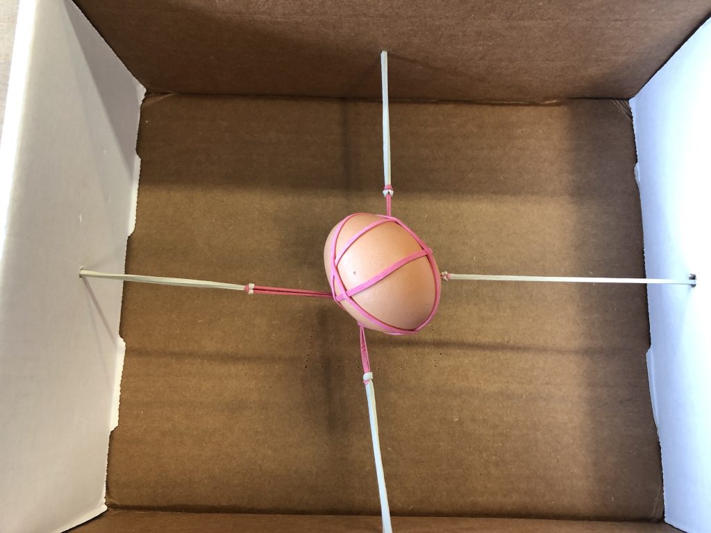 27 Fun & Creative Egg Drop Challenge Ideas - Education Corner