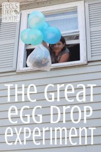 27 Fun & Creative Egg Drop Challenge Ideas - Education Corner