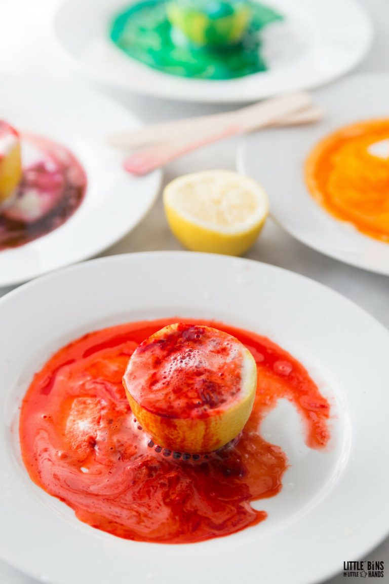 Top 50 Fun Food Science Experiments - Education Corner