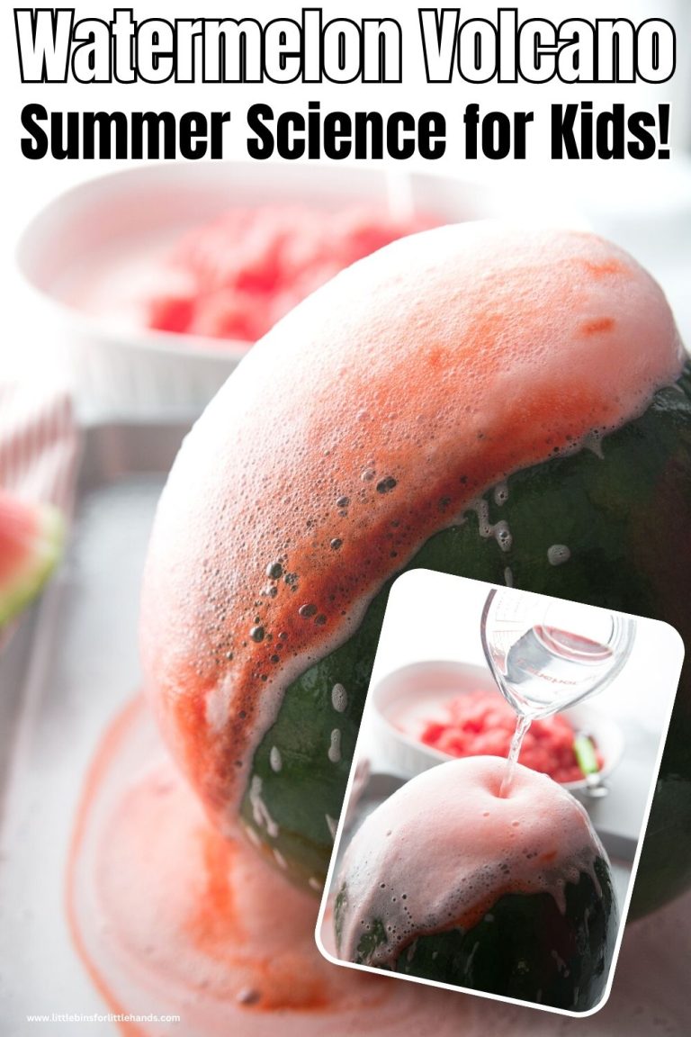 Top 26 Watermelon Activities and Experiments for Preschoolers ...