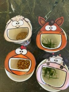 40 Fun & Educational Farm Activities for Preschoolers - Education Corner