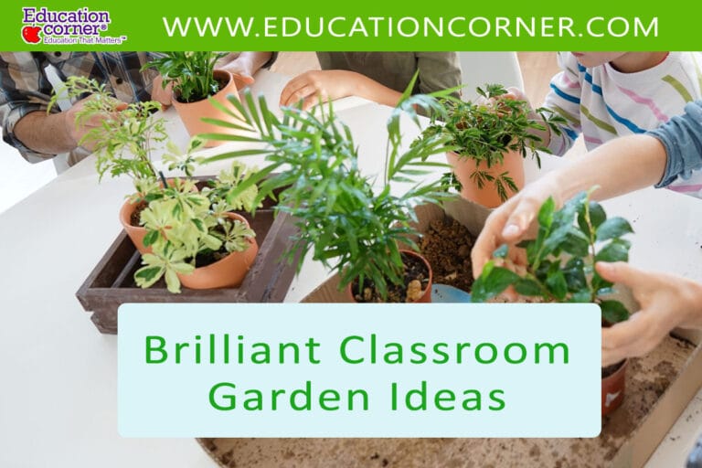 20 Brilliant Classroom Garden Ideas to Inspire Students - Education Corner