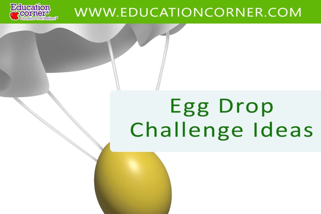 27 Fun & Creative Egg Drop Challenge Ideas - Education Corner