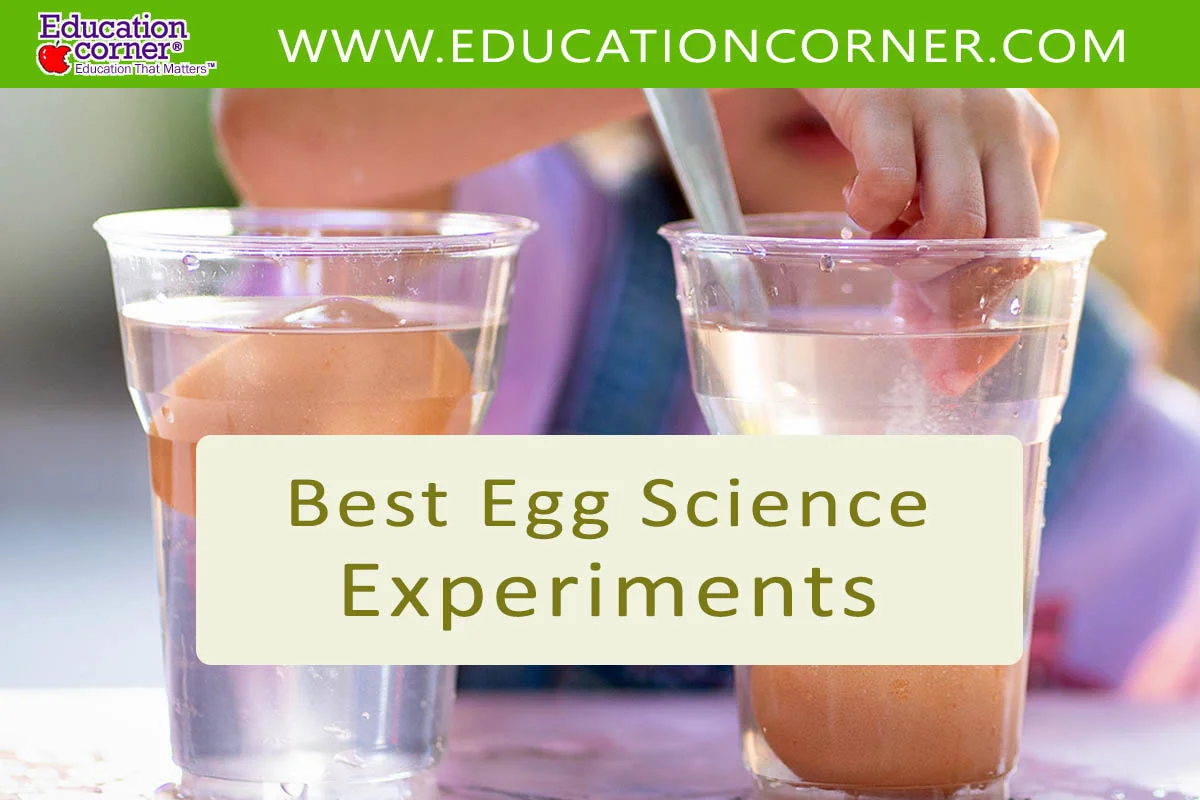 16 Best Egg Science Experiments - Education Corner
