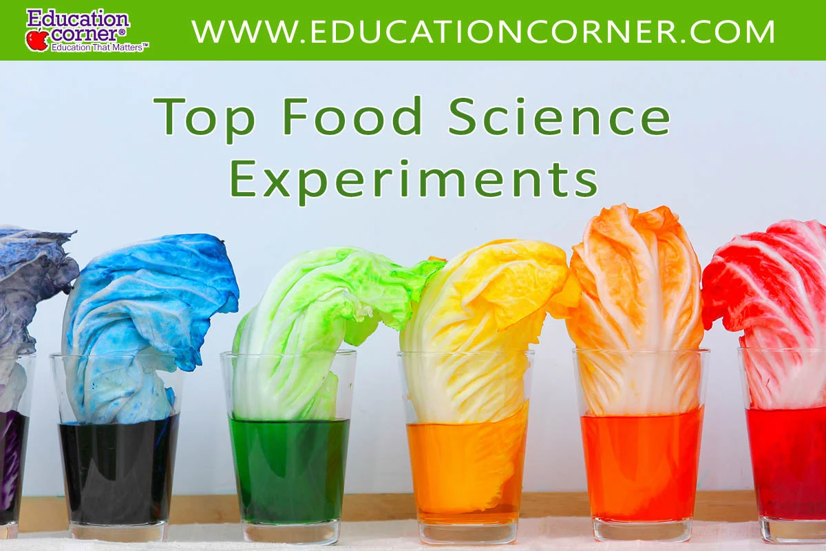 Top 50 Fun Food Science Experiments - Education Corner Top 50 Fun Food Science Experiments - Education Corner