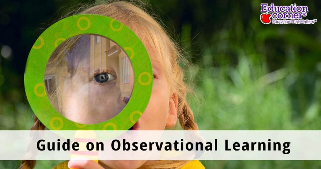 Understanding Observational Learning: Strategies and Benefits ...