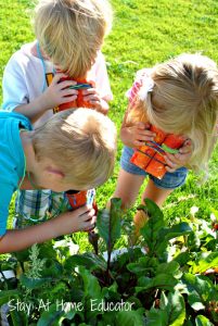 40 Sensory-Rich Five Senses Activities for Kids - Education Corner