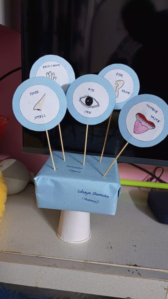 40 Sensory-Rich Five Senses Activities for Kids - Education Corner