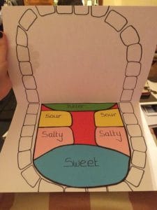 40 Sensory-Rich Five Senses Activities for Kids - Education Corner