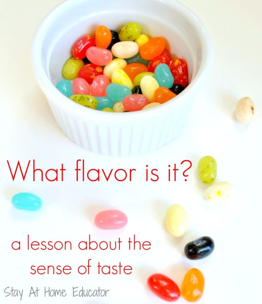 40 Sensory-Rich Five Senses Activities for Kids - Education Corner