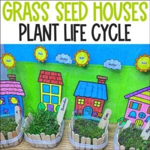 20 Brilliant Classroom Garden Ideas to Inspire Students - Education Corner