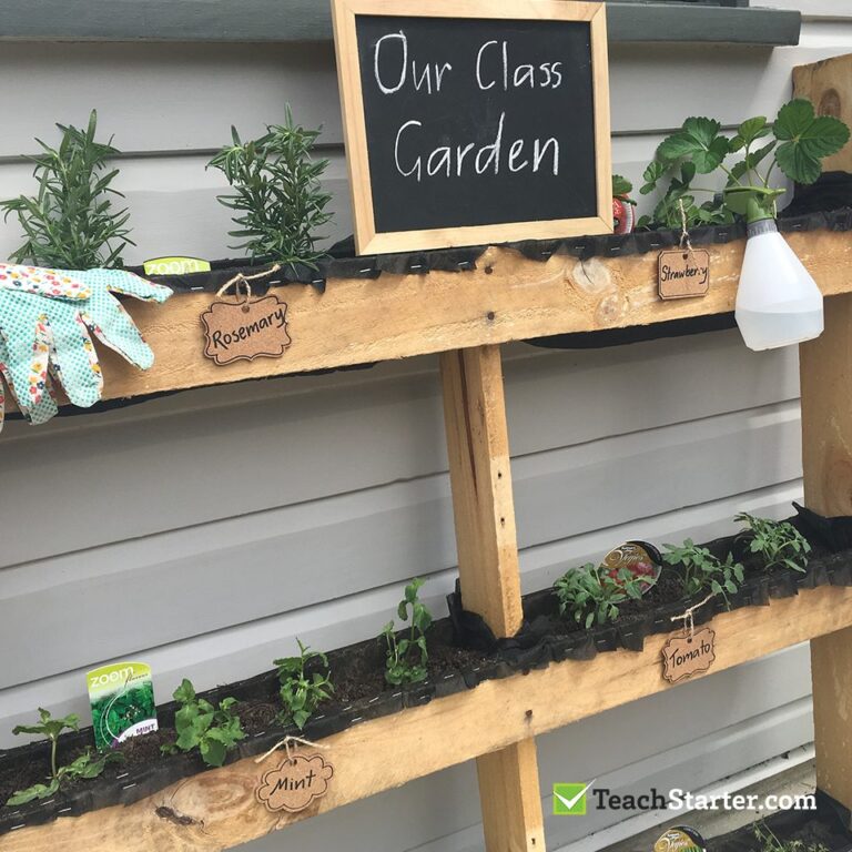20 Brilliant Classroom Garden Ideas to Inspire Students - Education Corner