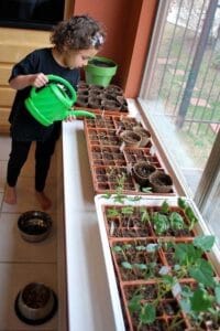 20 Brilliant Classroom Garden Ideas to Inspire Students - Education Corner