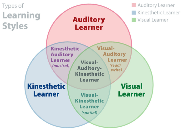 Discover Your Learning Style: The Definitive Guide - Education Corner