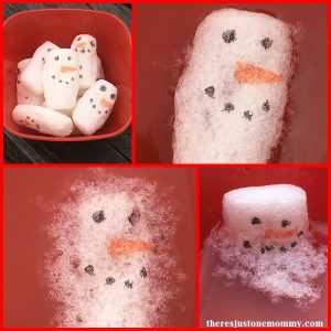 20 Cool and Fun Winter Science Experiments for Kids - Education Corner