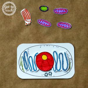 20 Hands-On Plant Cell Projects to Inspire Students - Education Corner
