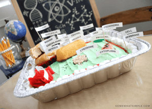 20 Hands-On Plant Cell Projects to Inspire Students - Education Corner