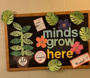 30 Plant-Themed Classroom Ideas to Grow a Love for Learning - Education ...