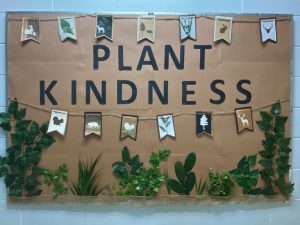 30 Plant-Themed Classroom Ideas to Grow a Love for Learning - Education ...