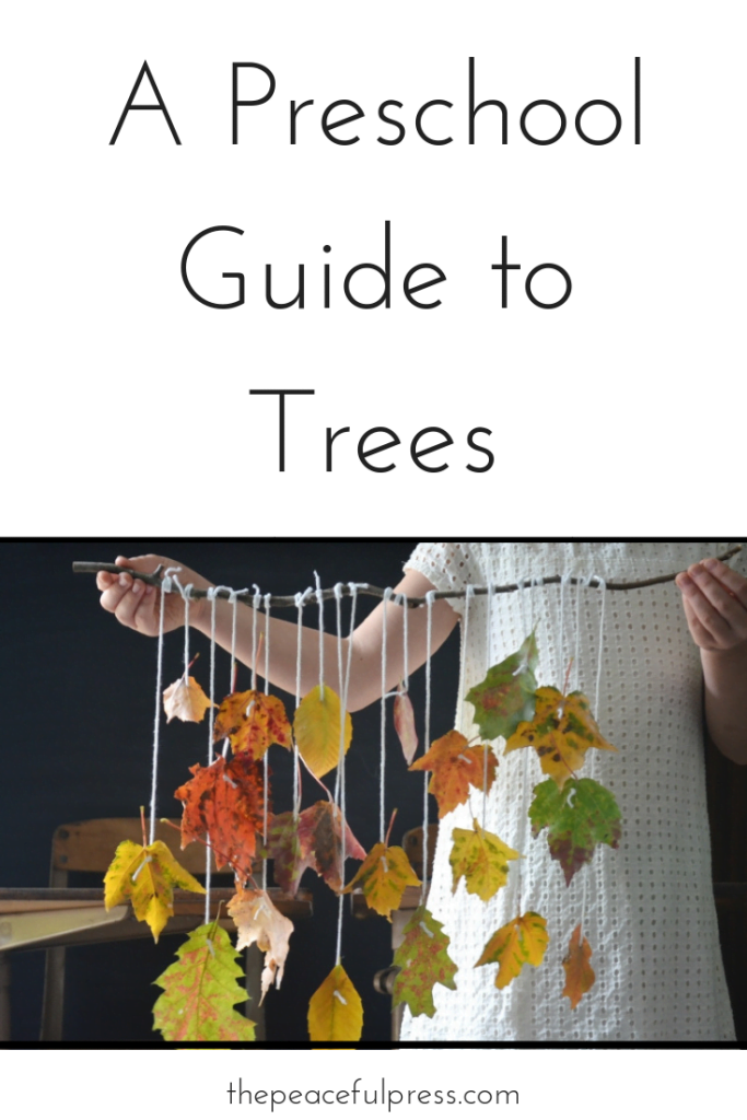 Explore Nature: Top 40 Tree-Themed Activities for Preschoolers ...