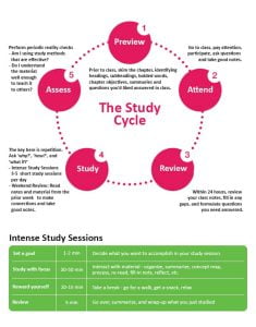 The Study Cycle - Education Corner