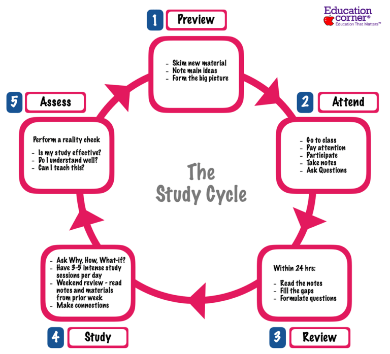 The Study Cycle: All You Need to Know - Education Corner
