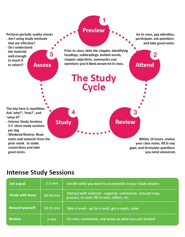 The Study Cycle - Education Corner