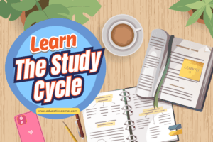 The Study Cycle: All You Need to Know - Education Corner