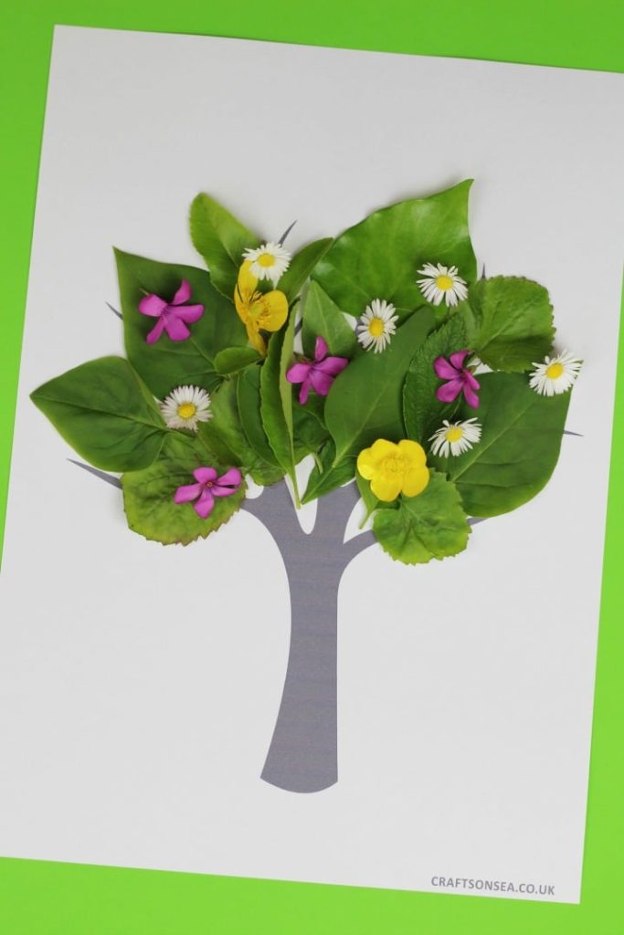 Explore Nature: Top 40 Tree-Themed Activities for Preschoolers ...