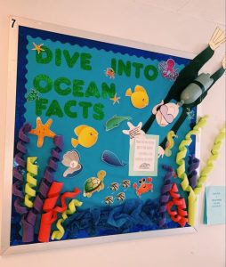 55 Beach, Ocean and Underwater Themed Classroom Ideas - Education Corner